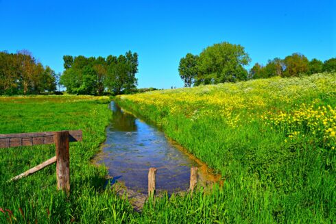 Water in sloten ondanks vele regen zouter dan in droge zomer | OOG ...