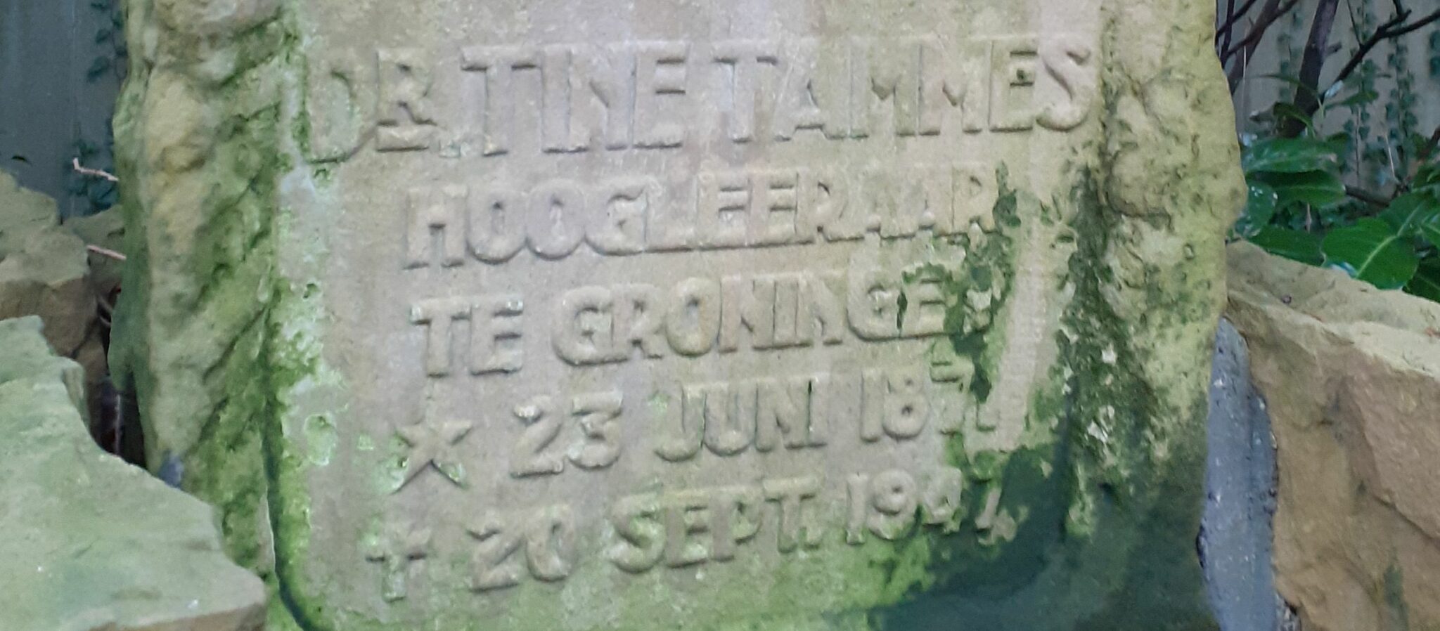 Was het graf van de eerste vrouwelijke professor van de RUG bijna ...