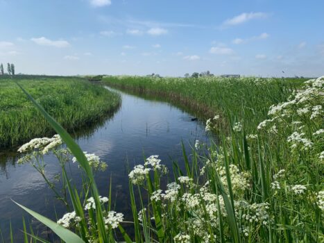 “Woensdag veel bewolking, vrijdag drukkend en tropisch warm” | OOG ...