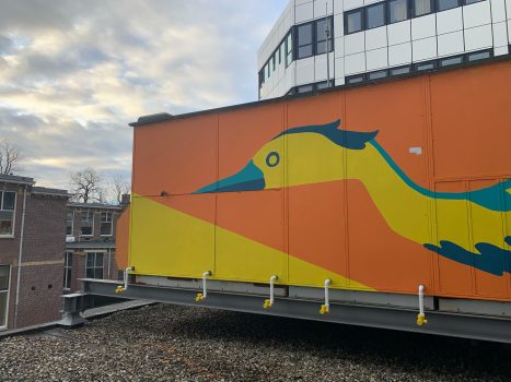 Studenten van Minerva maken kunstwerk op dak UMCG - Oozo.nl