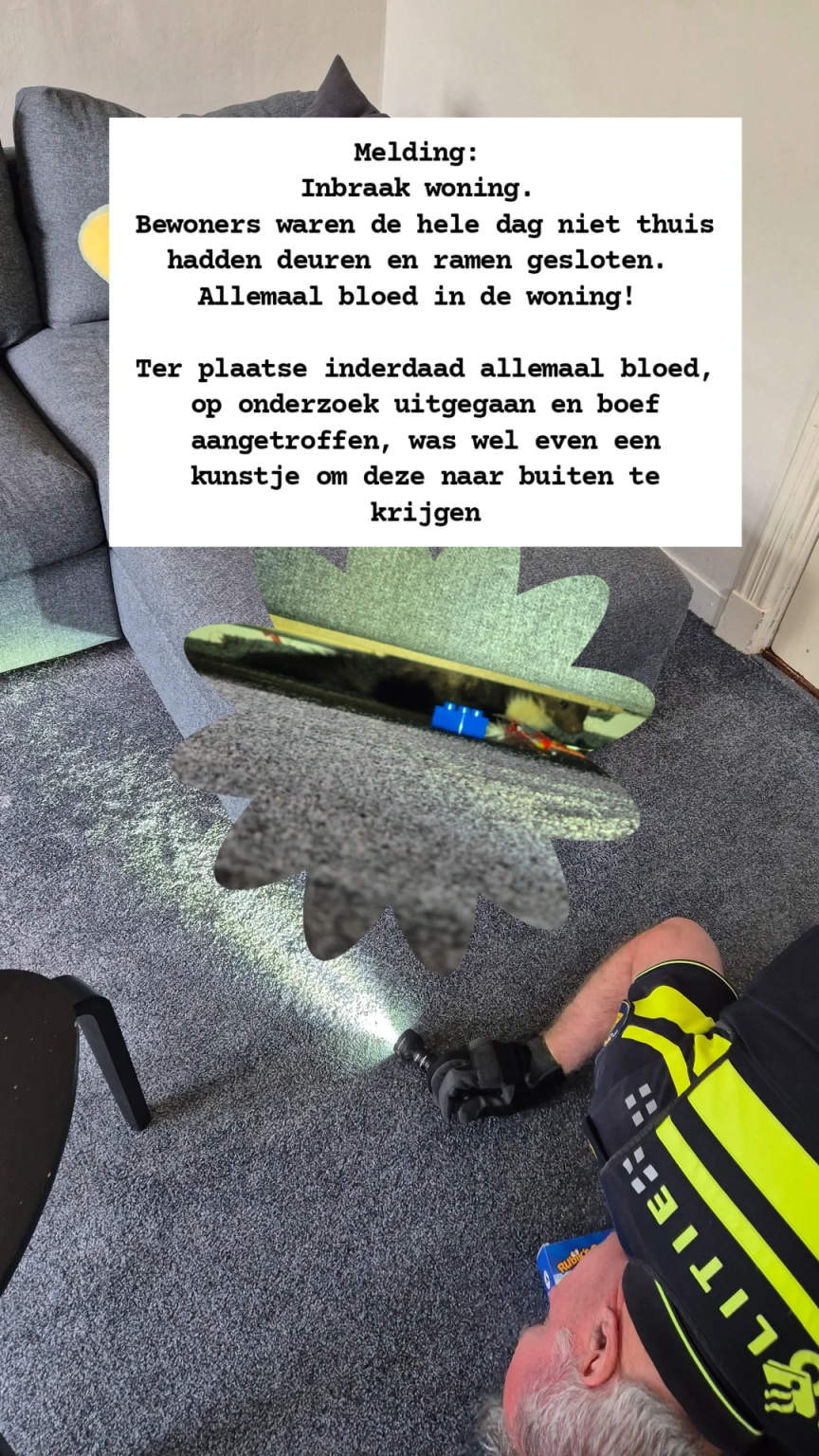 Politie vindt kleine harige ‘boef’ na melding van inbraak | OOG Groningen